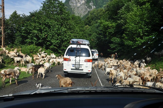 3-Day Svaneti Hiking Tour - What Travelers Say