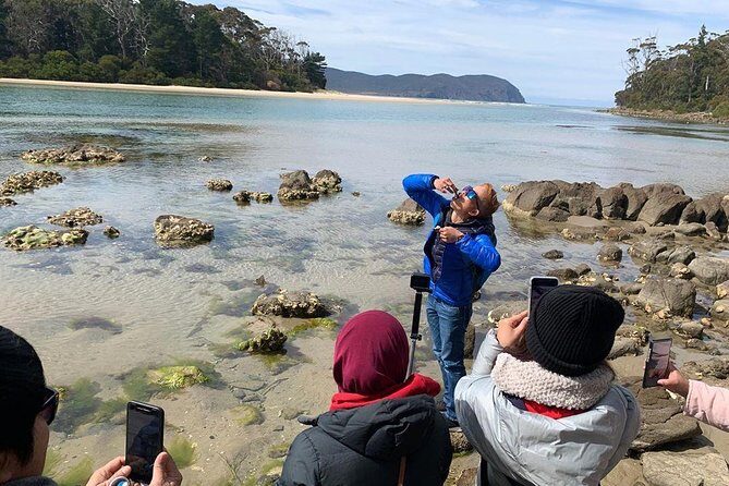 3 day Tasmanian highlights tour  Hobart, Port Arthur and Bruny Island - Why Travelers Love This Tour & Who It’s For