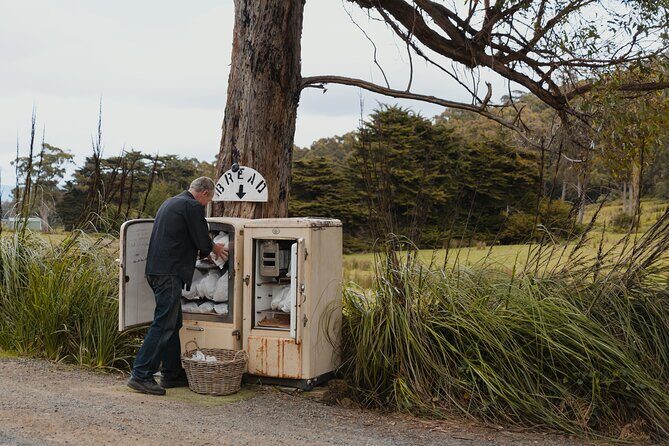 3 Day Tassie Tour Bundle Hobart, Wineglass Bay and Bruny Island - The Sum Up