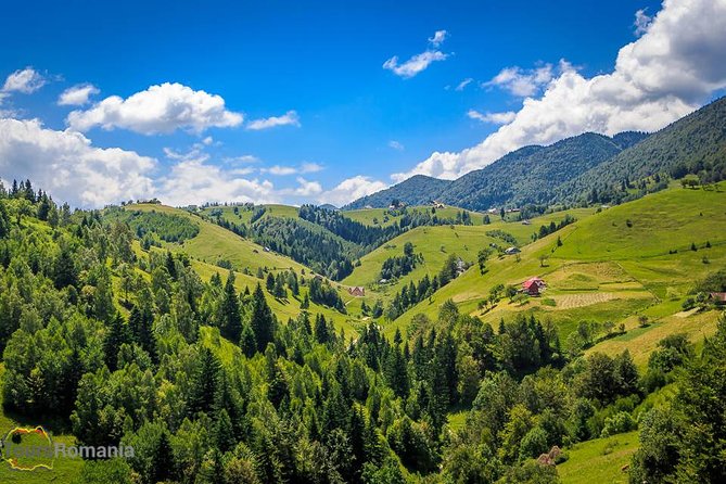 3-Day Tour from Bucharest: Transylvania Villages and Medieval Towns - Analyzing the Value