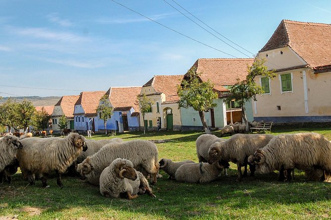 3 day Tour: Medieval Transylvania with Half Board - What Makes This Tour Stand Out?