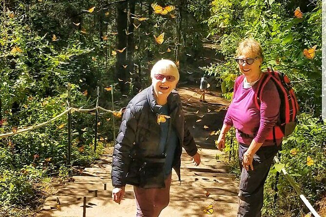 3 day Tour to Discover the Magic of Mexico & Monarch Butterflies - Authenticity, Comfort, and Experience