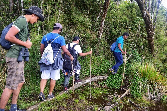3-Day tour to Vedda Village & Two National Parks - Exploring the 3-Day Tour: An Authentic Sri Lankan Experience