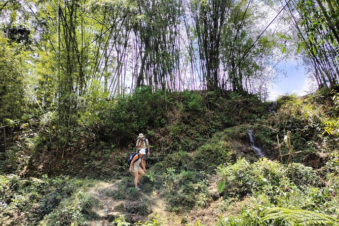 3-Day Trek in Amazing Muong Hoa Valley & ethnic Homestay - Who Is This Tour Best For?