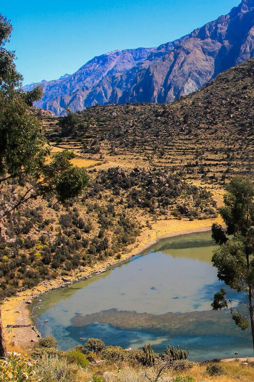3-day trek to the Colca Canyon from Arequipa ending in Puno - Authenticity and Experience Quality