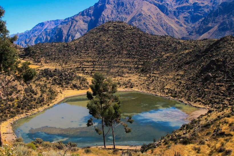3-day trek to the Colca Canyon from Arequipa ending in Puno - The Sum Up