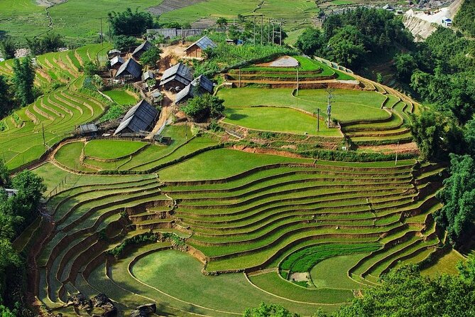 3-Day Trekking Adventure of Sapa from Hanoi - Stay Ta Van Village - Who Will Love This Tour?