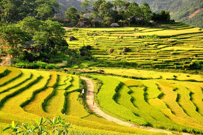 3-Day Trekking In Pu Luong Nature Reserve Private Tour - FAQ