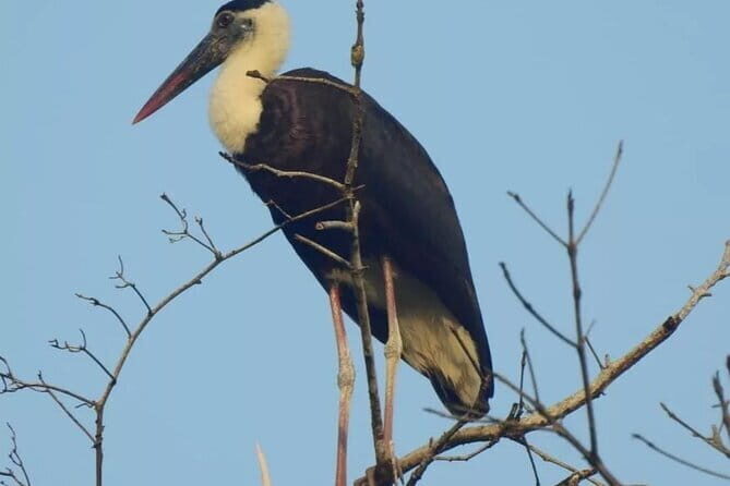 3-Day Ujung Kulon National Park Private Guided Tour - Key Points