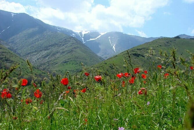 3-Day Unexplored Trails Hiking Tour - Authentic Experiences and What Travelers Say