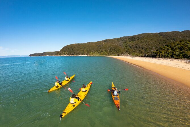 3 Day Unguided Kayaking starting in the Abel Tasman National Park New Zealand - The Sum Up: Who Will Love This Experience?