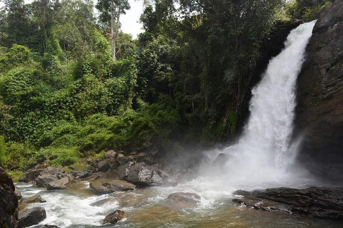 3-Day Wayanad Tour from Bangalore - FAQs