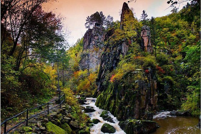 3-Day Yichun City Private Tour with Forest Parks Visit from Harbin - A Deep Dive into the Yichun Forest Tour