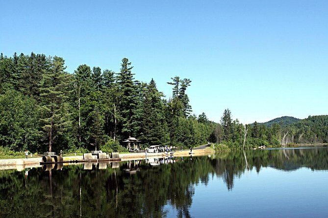3-Day Yichun City Private Tour with Forest Parks Visit from Harbin - The Sum Up