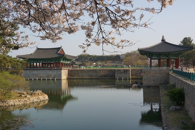 3-Days 2-Nights Gyeongju UNESCO Sites & Busan City [Private Tour from Seoul] - Who Will Enjoy This Tour?