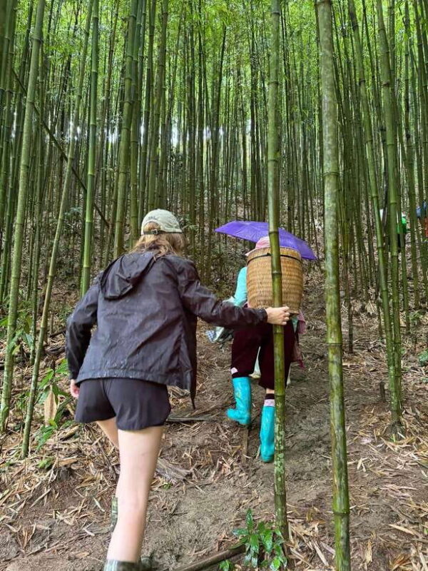 3 Days 2 Nights in Sapa | 1 Night Homestay & 1 Night Hotel - Day Three: Exploring Red Dao Villages and Return