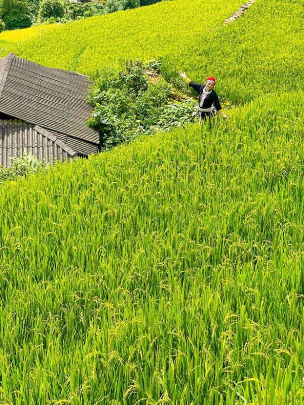 3 Days 2 Nights in Sapa | 1 Night Homestay & 1 Night Hotel - What’s Included and What’s Not