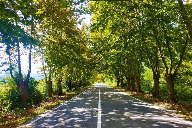 3 Days/2 Nights Lechkhumi Region Tour Package in Georgia - Genuine Traveler Feedback