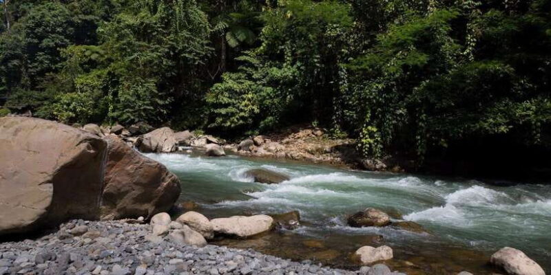 3 Days 2 Nights Orangutan Trek Bukit Lawang - The Itinerary in Detail