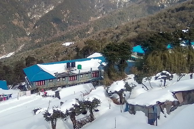 3 Days 2 Nights Poon Hill Trekking - What to Expect During Your Trek