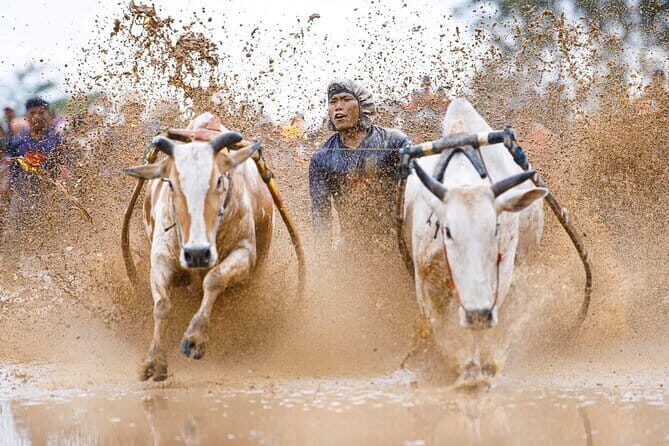 3 Days 2 Nights Siberut Jungle Trekking Mentawai Experience - FAQ