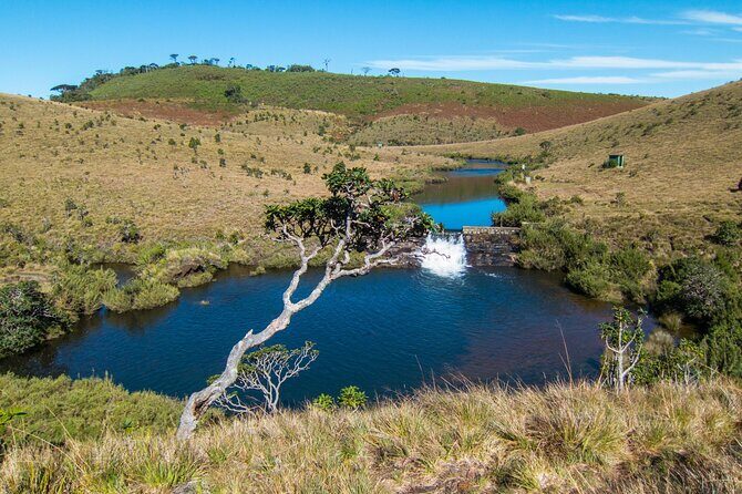 3 Days All Inclusive Kandy Nuwara-Eliya Tour From Colombo - Authentic Experiences and Reviews