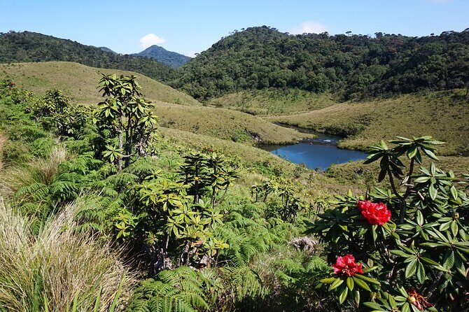 3 Days All Inclusive Kandy Nuwara-Eliya Tour From Colombo - Final Thoughts