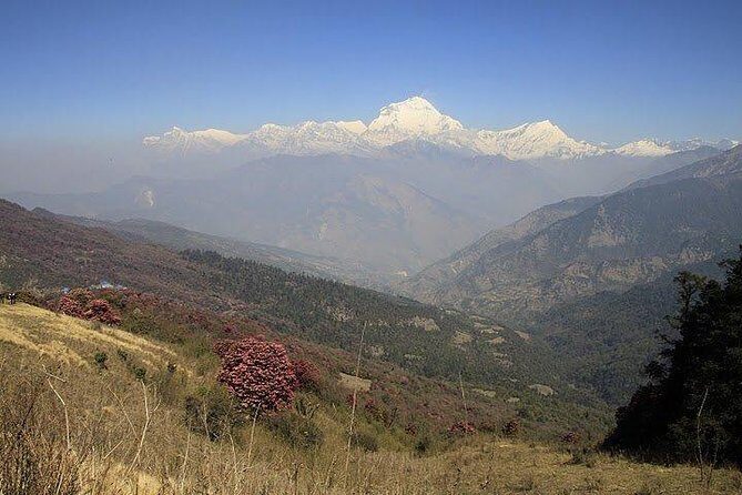 3 Days Amazing Ghandruk Trek From Pokhara Nepal - An in-depth look at the Ghandruk Trek Experience