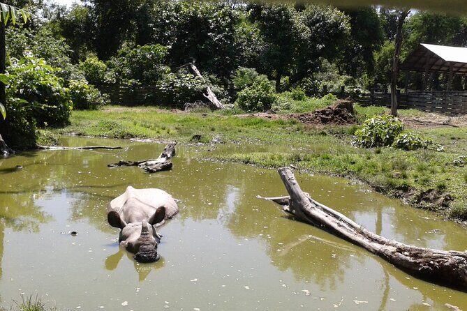 3 Days and 2 Nights Chitwan National Park Safari Tour in Pokhara - The Experience: What You’ll Love and What to Consider