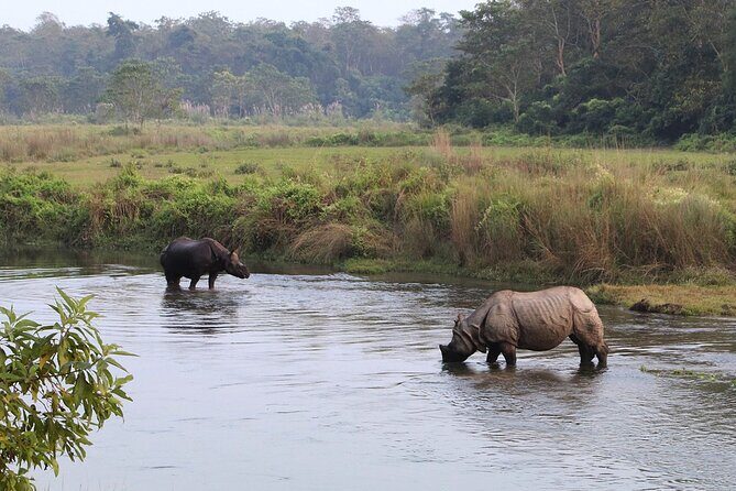 3 Days and 2 Nights Chitwan National Park Safari Tour in Pokhara - Authenticity and Reviews: What Travelers Say