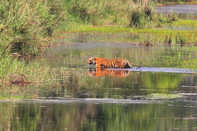 3 Days and 2 Nights Chitwan National Park Safari Tour in Pokhara - FAQ