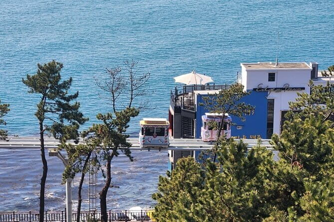 3 Days Busan and Gyeongju Private Tour - Who Is This Tour Best For?