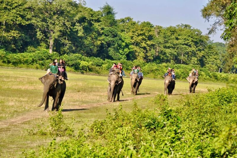 3 Days Chitwan Jungle Tour with Meals - Kathmandu & Pokhara - Practical Details and Tips