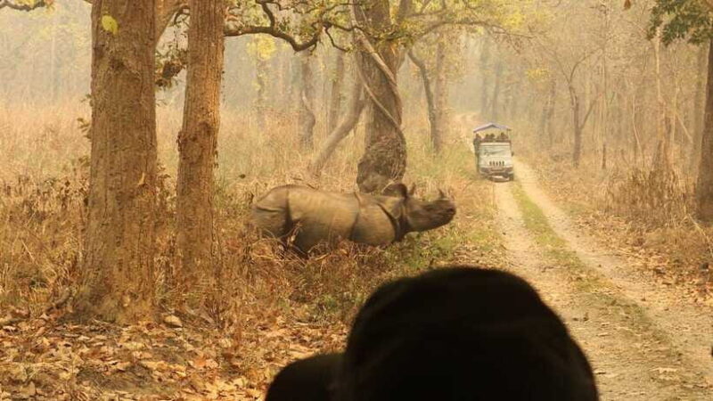 3 Days Chitwan Safari - Final Thoughts