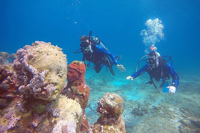 3 Days Class: SDI Open Water Diver Certification in Cancun - An In-Depth Look at the 3-Day Certification Course