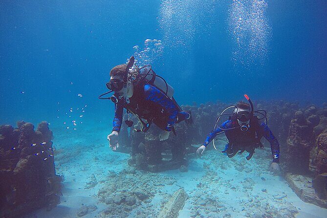 3 Days Class: SDI Open Water Diver Certification in Cancun - Practical Details That Matter
