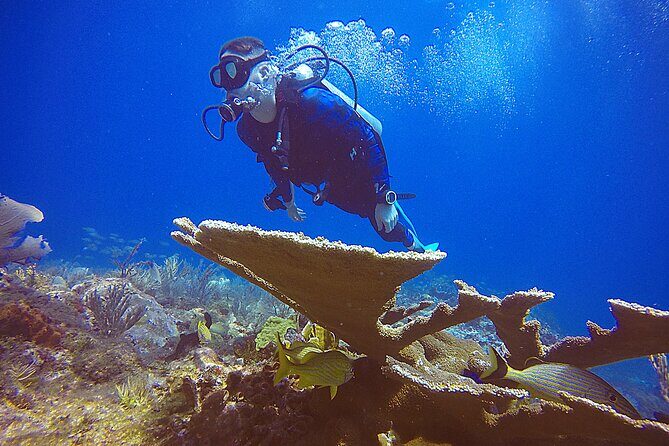 3 Days Class: SDI Open Water Diver Certification in Cancun - Authentic Experiences and Feedback
