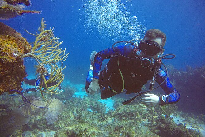 3 Days Class: SDI Open Water Diver Certification in Cancun - Final Thoughts