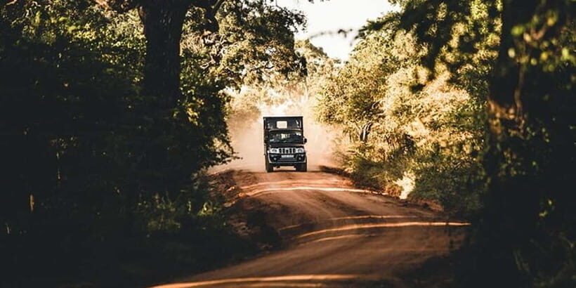 3 Days - Different discovery private wildlife tour - What’s Included and What’s Not