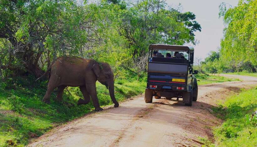 3 Days - Different discovery private wildlife tour - The Experience Provider: Beyond Escapes