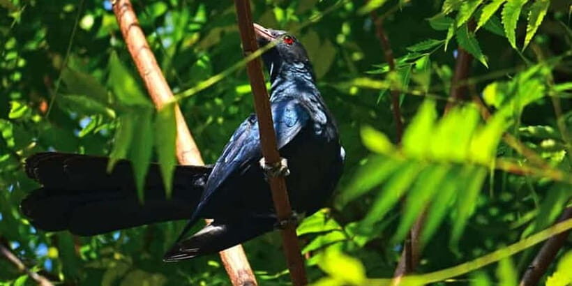 3 Days - Different discovery private wildlife tour - Who Would Appreciate This Tour?