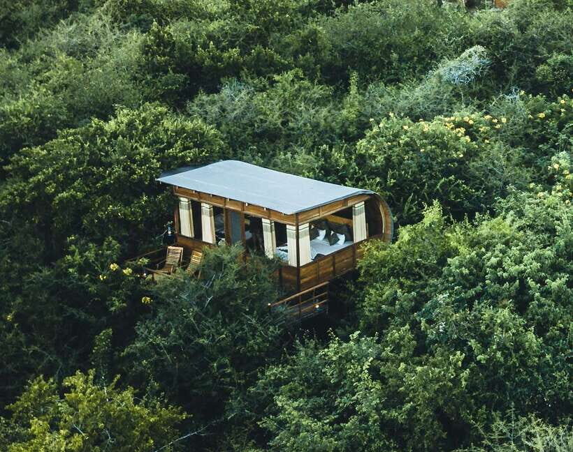 3 Days - Different discovery private wildlife tour - Frequently Asked Questions