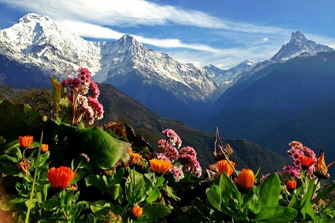 3 Days Ghorepani Poonhill Trek from Pokhara - Key Points
