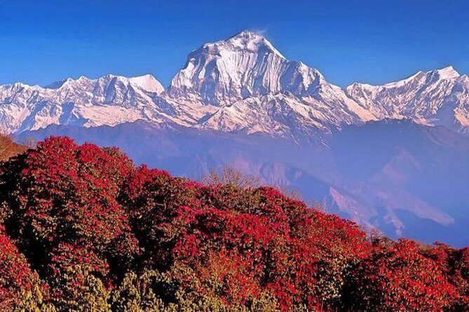 3 Days Ghorepani Poonhill Trek from Pokhara - What’s Included & What’s Not