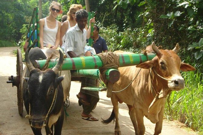 3 Days Glimpse of Sri Lanka - An In-Depth Look at the 3-Day Experience