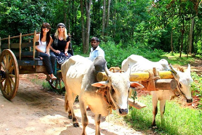 3 Days Glimpse Of Sri Lanka - Why This Tour Is Worth Considering