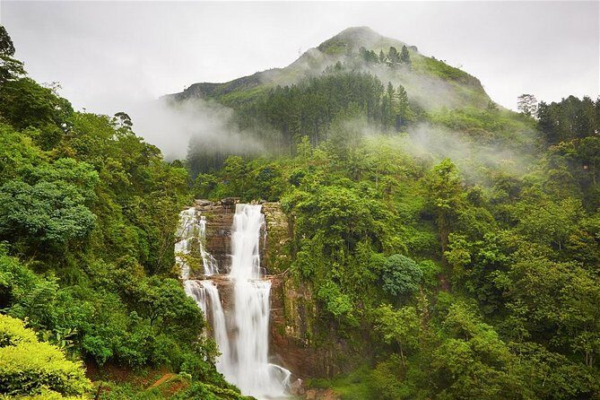 3 Days Hill Country Experience Sri Lanka - Exploring Sri Lanka in Three Days: A Deep Dive