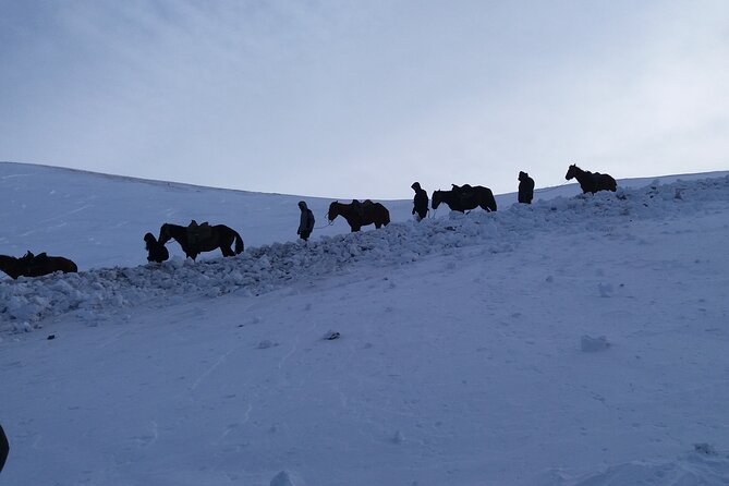 3 days horse back riding to Song-Kul lake whole year round - Detailed Day-by-Day Breakdown