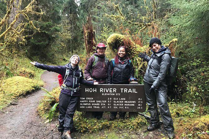 3 Days in Olympic National Park from Seattle: Silent Forest - Hoh Rainforest - Who Will Love This Tour?
