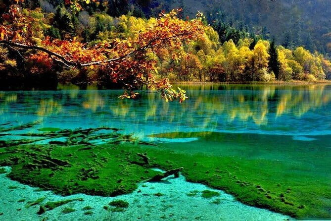 3 Days Jiuzhaigou and Huanglong Tour by Fast Train from Xian - Transportation and Logistics: Why It Matters